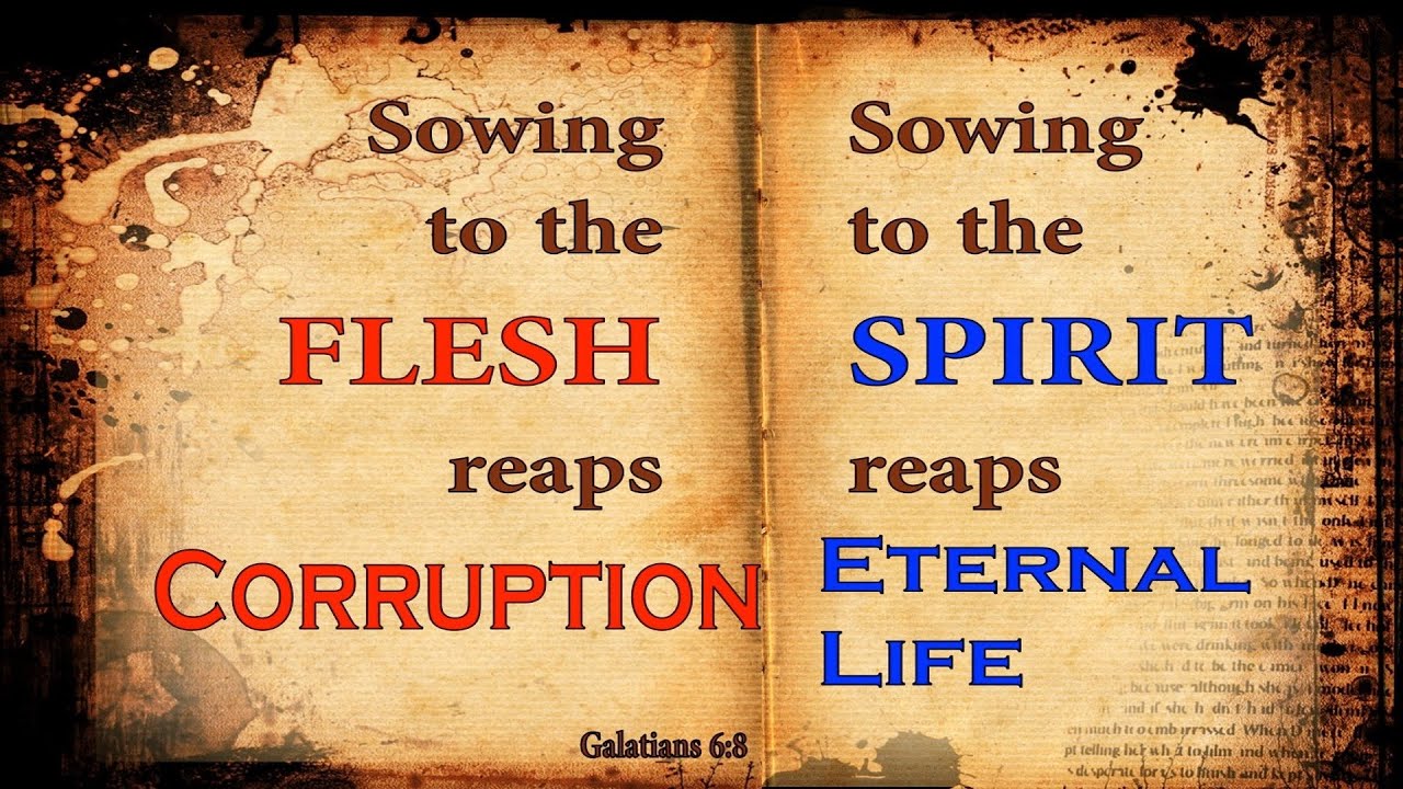 YESHUA’S RETURN IS IMMINENT:THE BATTLE IS TOUGH-LET US GET EQUIPPED BY ...