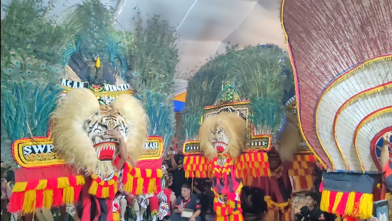 HEBAT SEKALI LUR‼️PENAMPILAN KEREN 10 PEMBARONG DADAK MERAK REOG ...