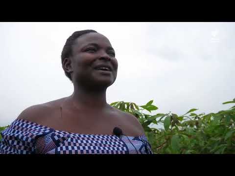 The Story of Gloria #communitychallenges #empoweringyouth #ghanagrows #agriculture #atvet