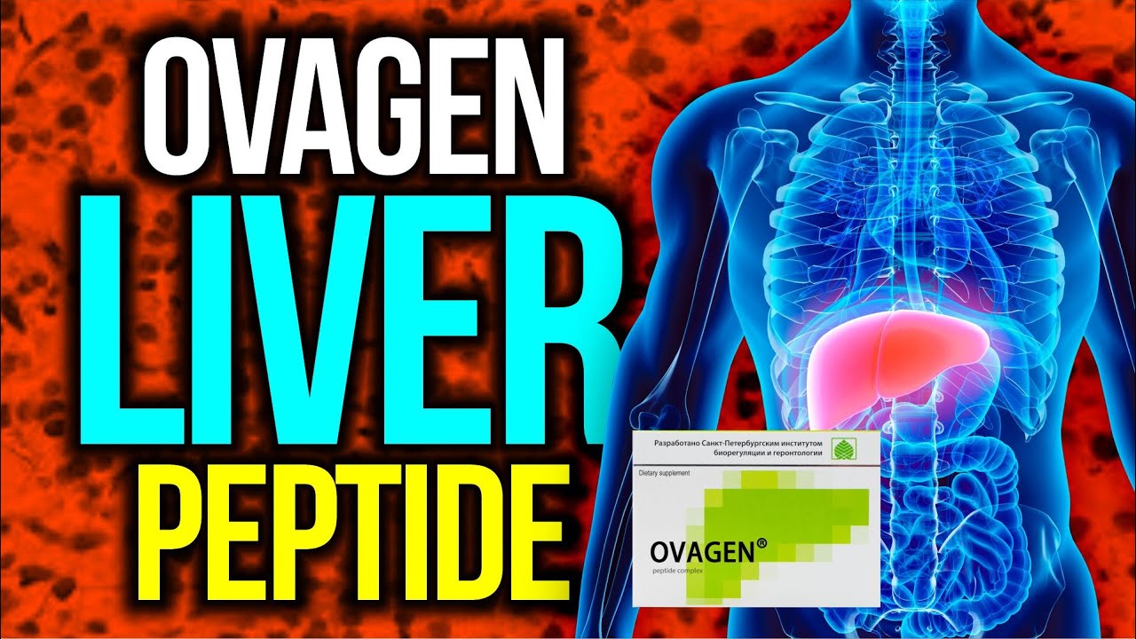 My Favorite Bioregulator Peptide for Liver Support - Ovagen - YouTube