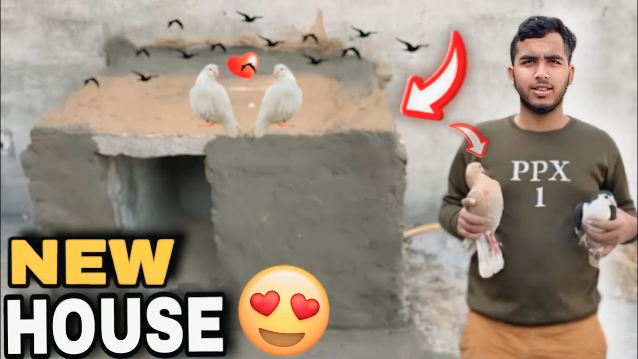 Kabotroo ka new ghar ready ho gya||punjabi vlogs||Enjoyment vlogs|| - YouTube