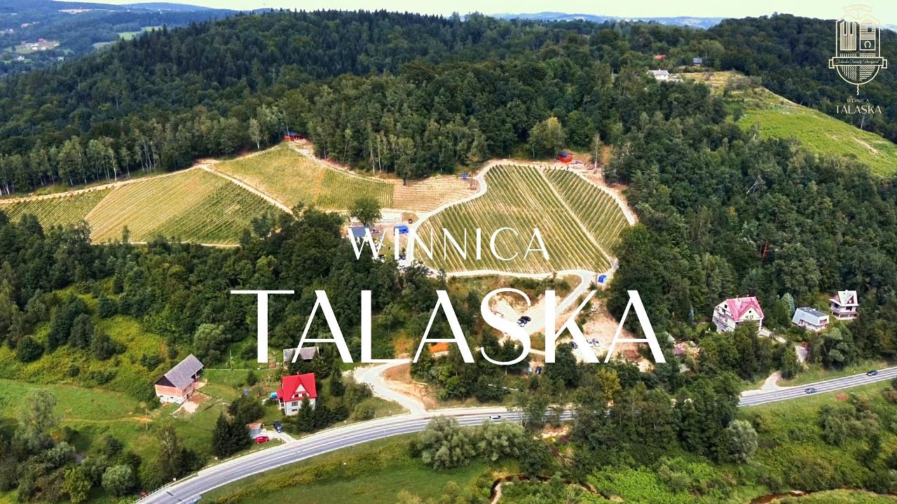 Winnica Talaska z Lotu Ptaka - YouTube