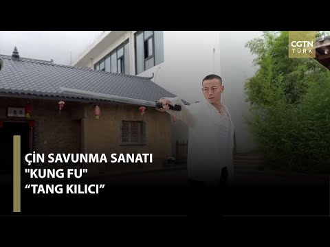 Çin Savunma Sanatı \