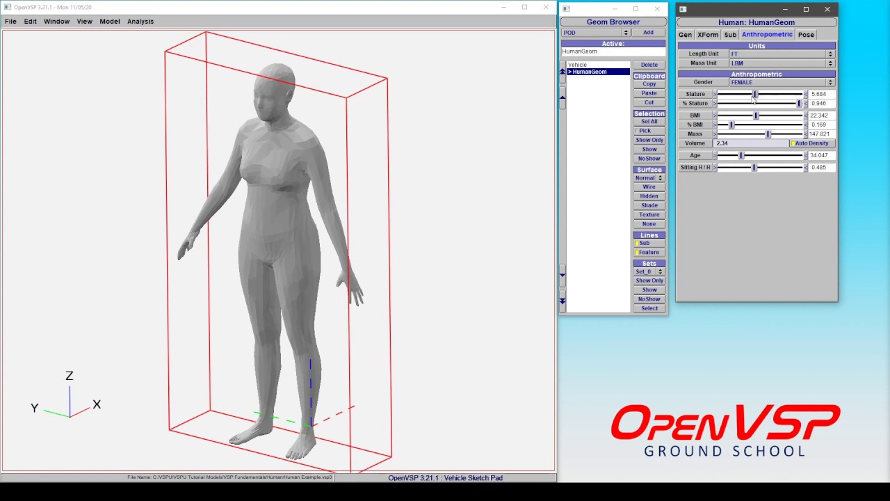 Human Introduction - YouTube