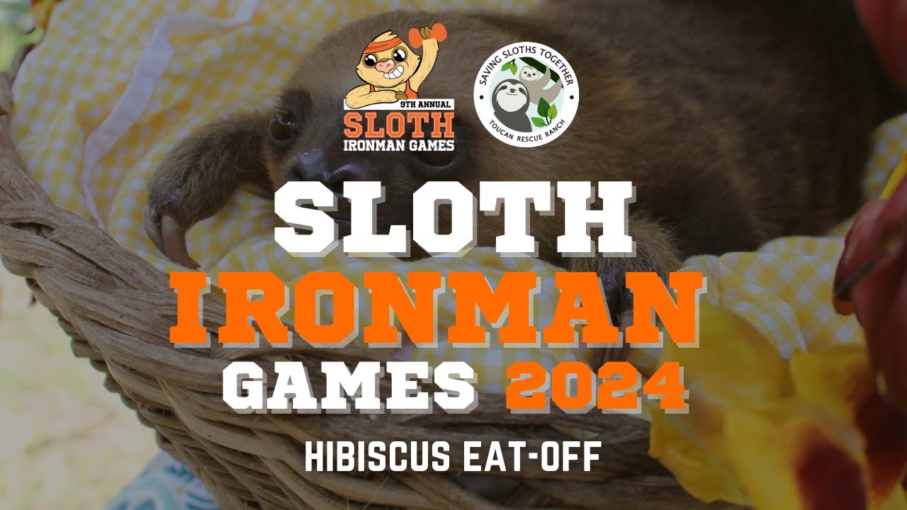 GAME 2: Hibiscus Eat-Off | 2024 Sloth Ironman Games - YouTube