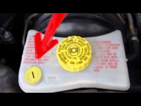 O SARI KAPAK NE İŞE YARIYOR?