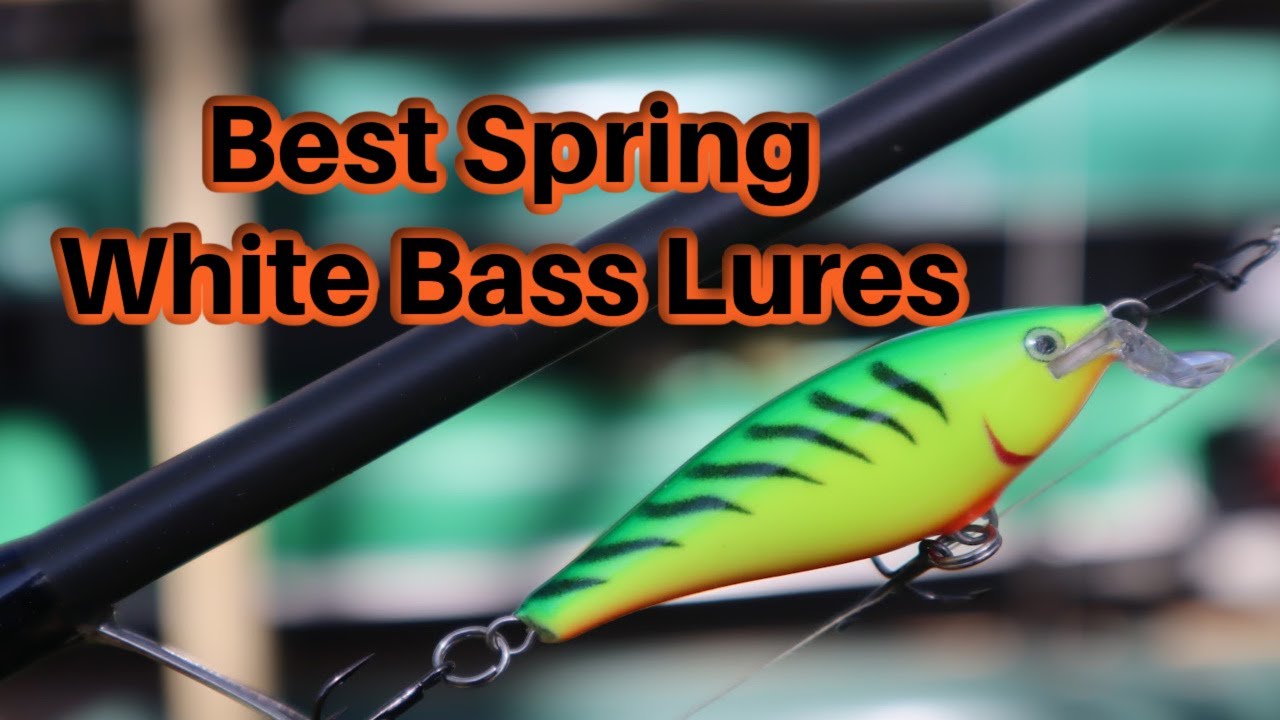 #1 BEST White Bass Lures for the Spring Spawning Run - White Bass ...