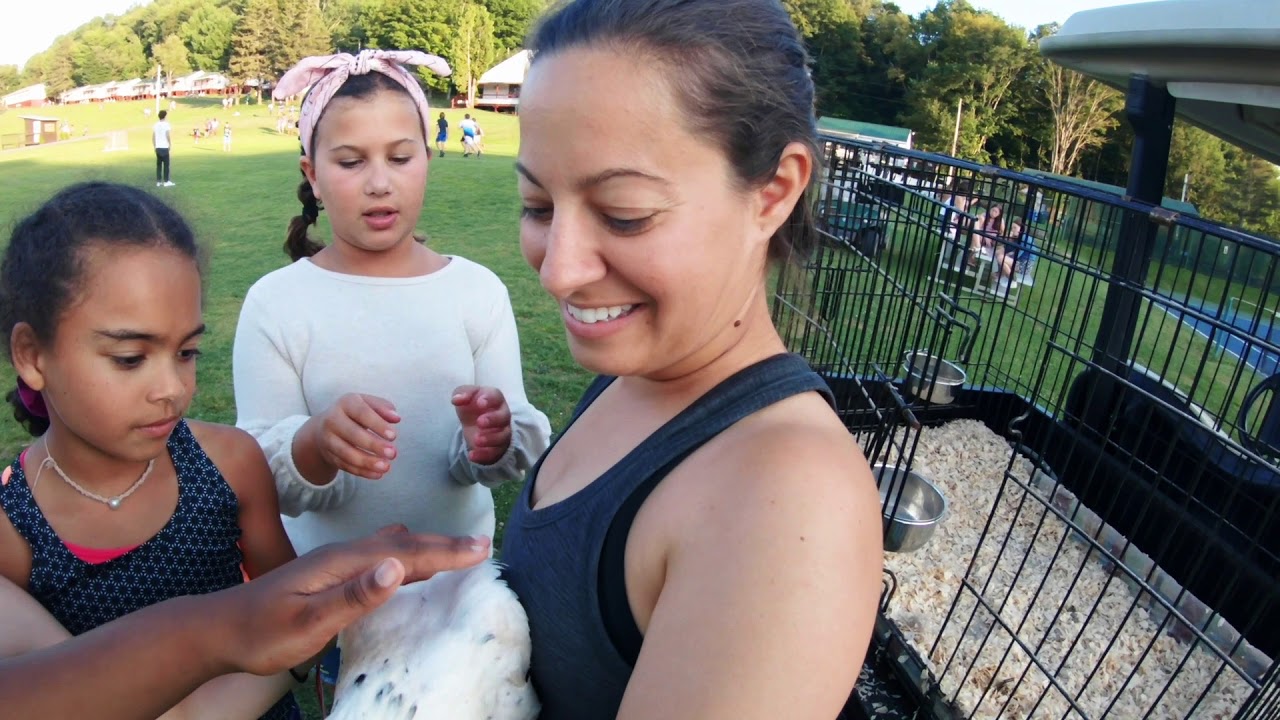 Session 3 Video - YouTube