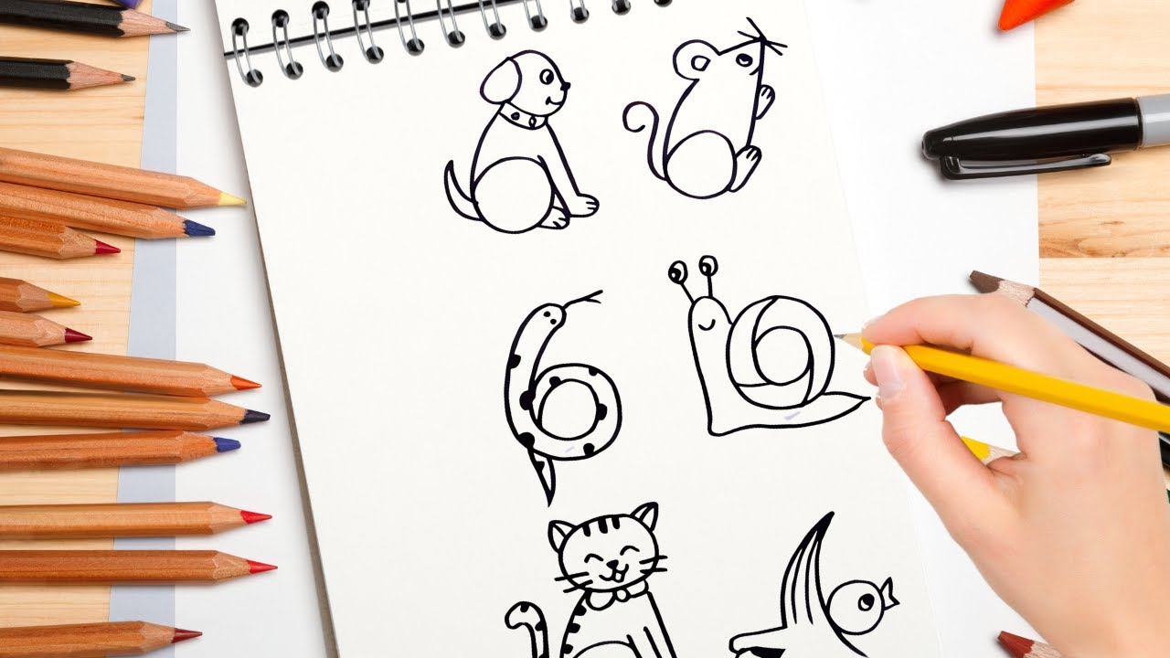 Aprender a Dibujar y Colorear Para Niños Pequeños De Números a Animales ...