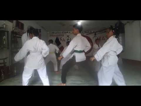 el maestro Tony Báez - YouTube