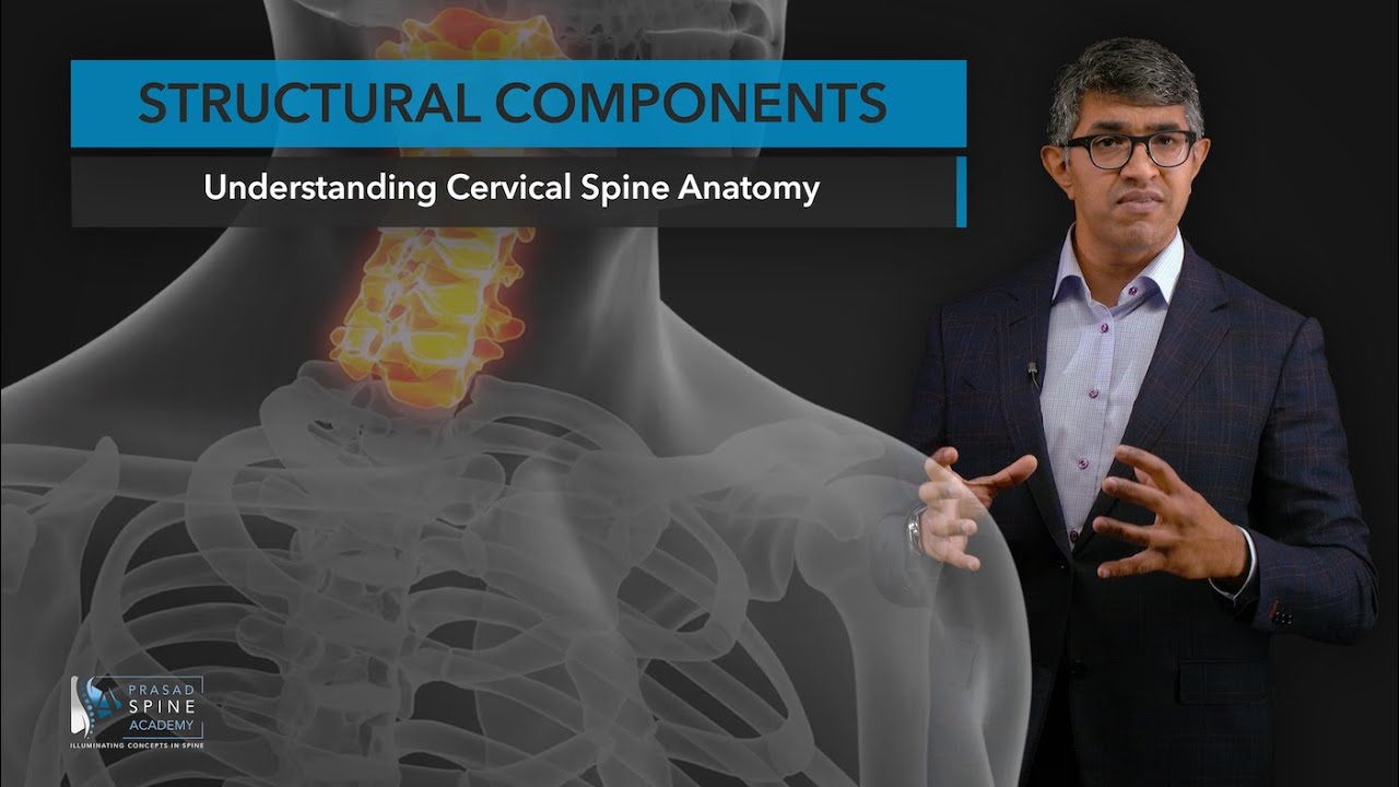 Structural Components of the Cervical Spine - YouTube