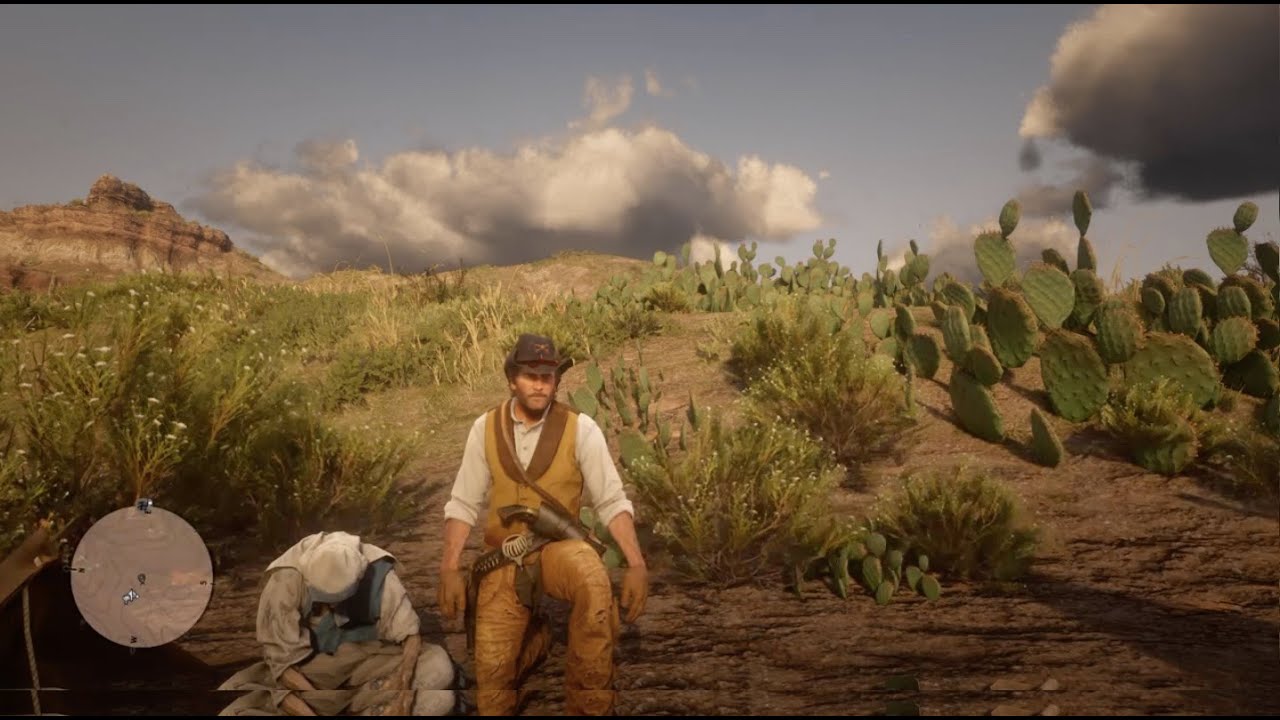 The Cholla Springs Chelonian Camp With Arthur and Biscuit, in Red Dead ...