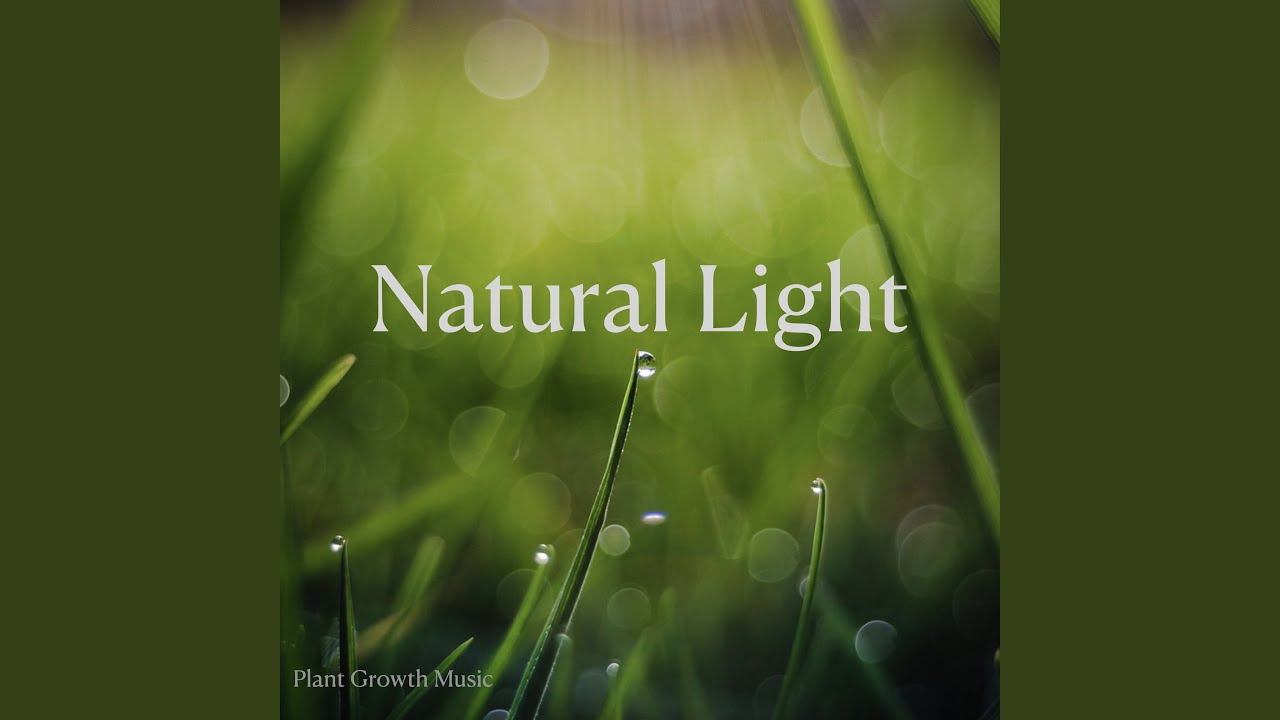 Natural Light - YouTube