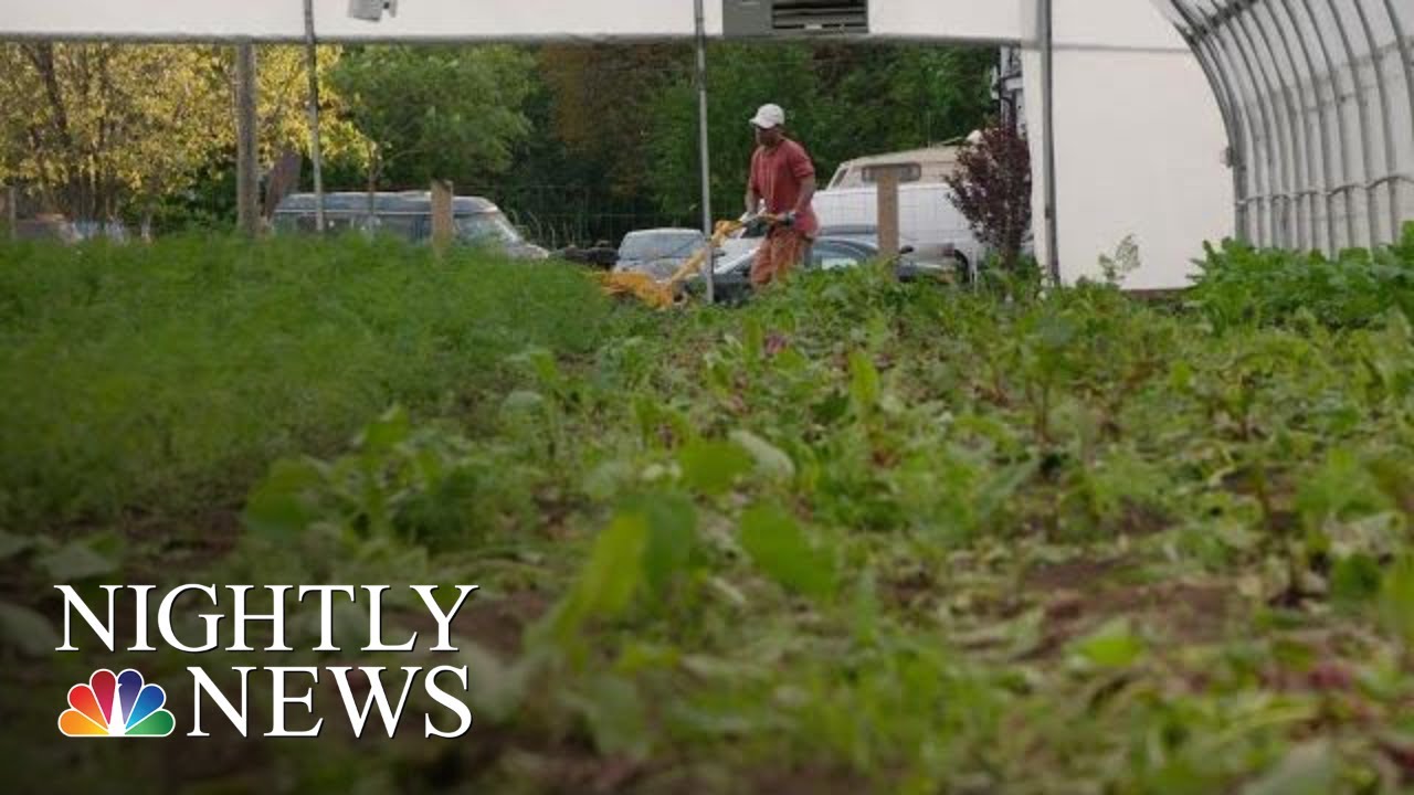 This Detroit Farm Is Helping Former Inmates Stay Out Of Prison | NBC ...