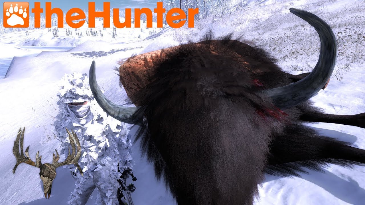 Thehunter Classic 120"+ Bison 2019 (4K ULTRA HD) - YouTube