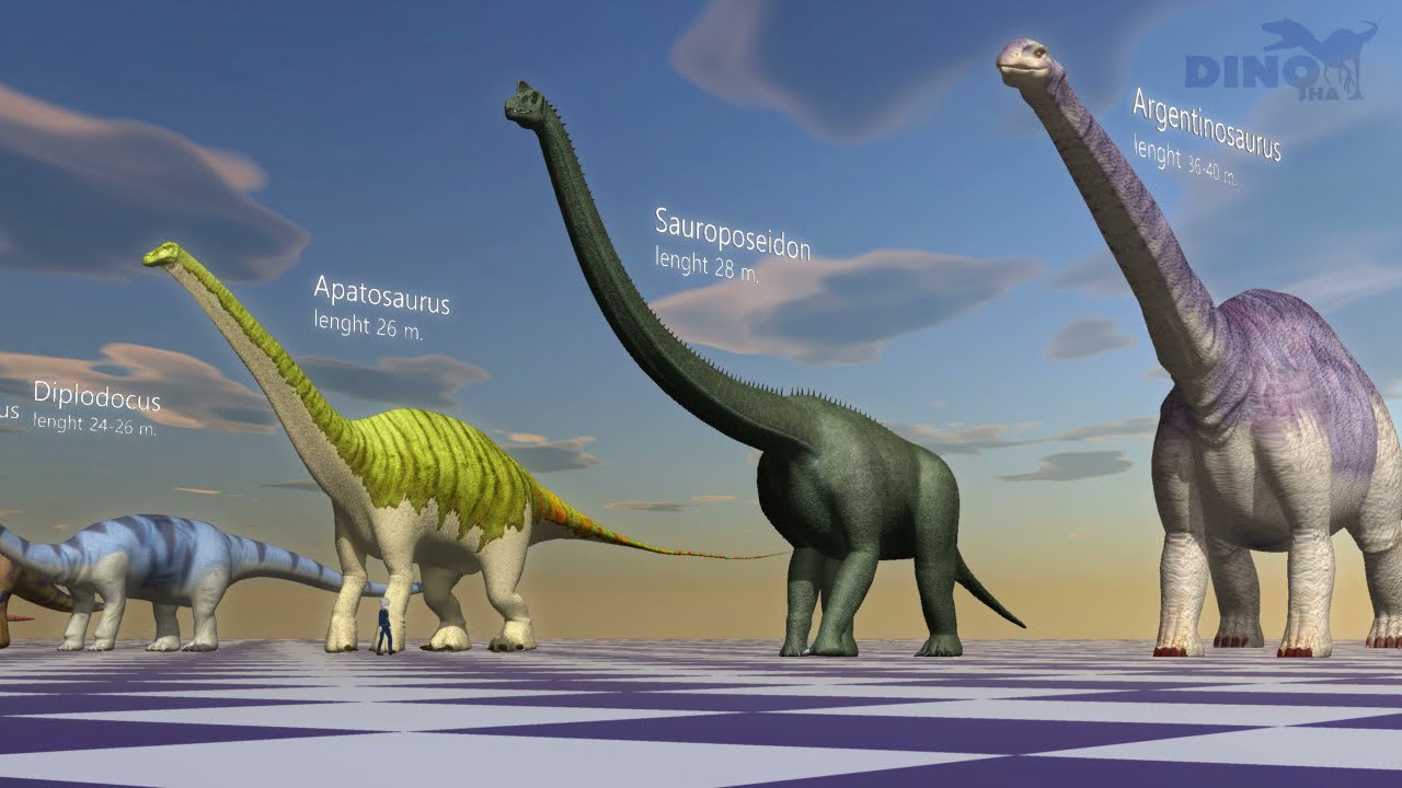 Sauroposeidon Size
