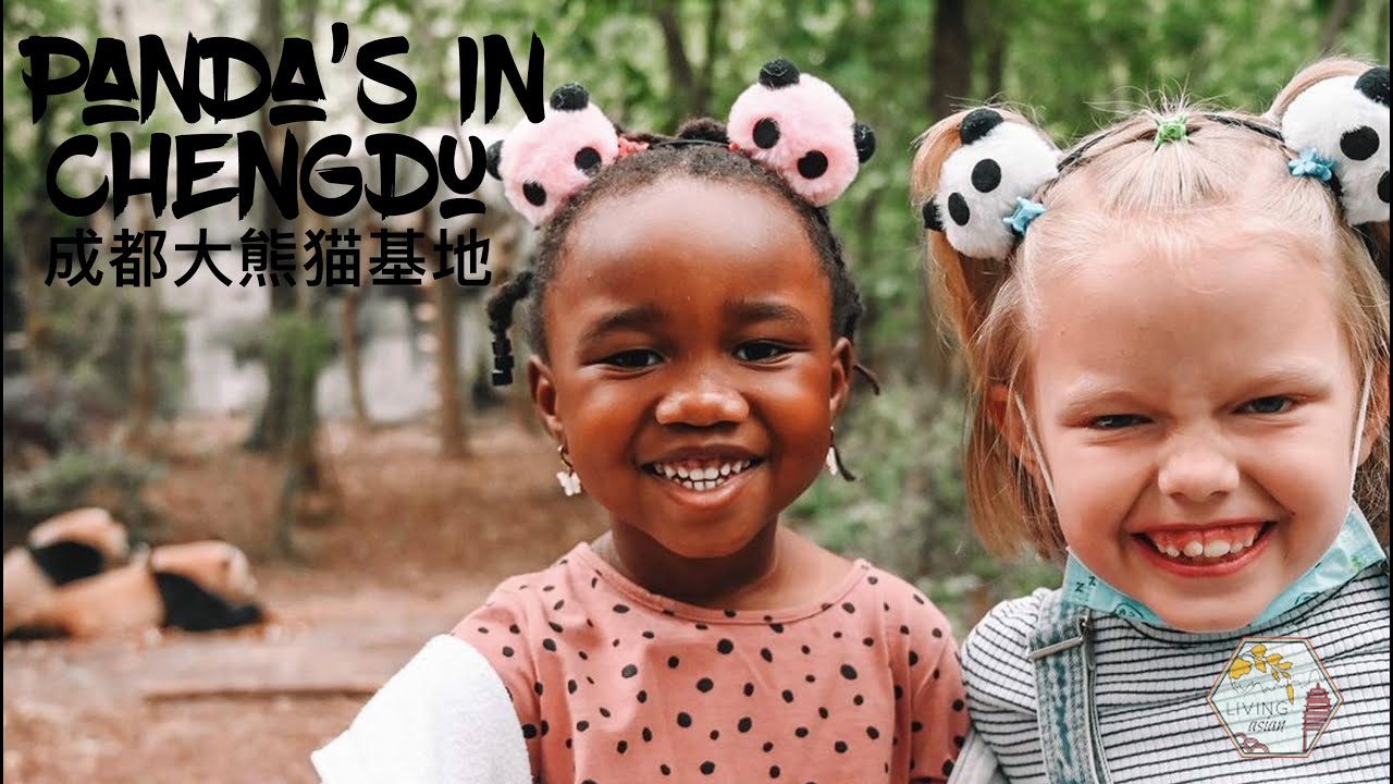 Panda’s in Chengdu! 成都大熊猫基地 - Living Asian (Expat Journey) - YouTube