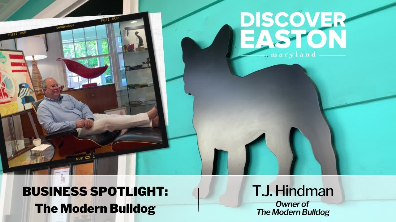 Business Spotlight: The Modern Bulldog - YouTube