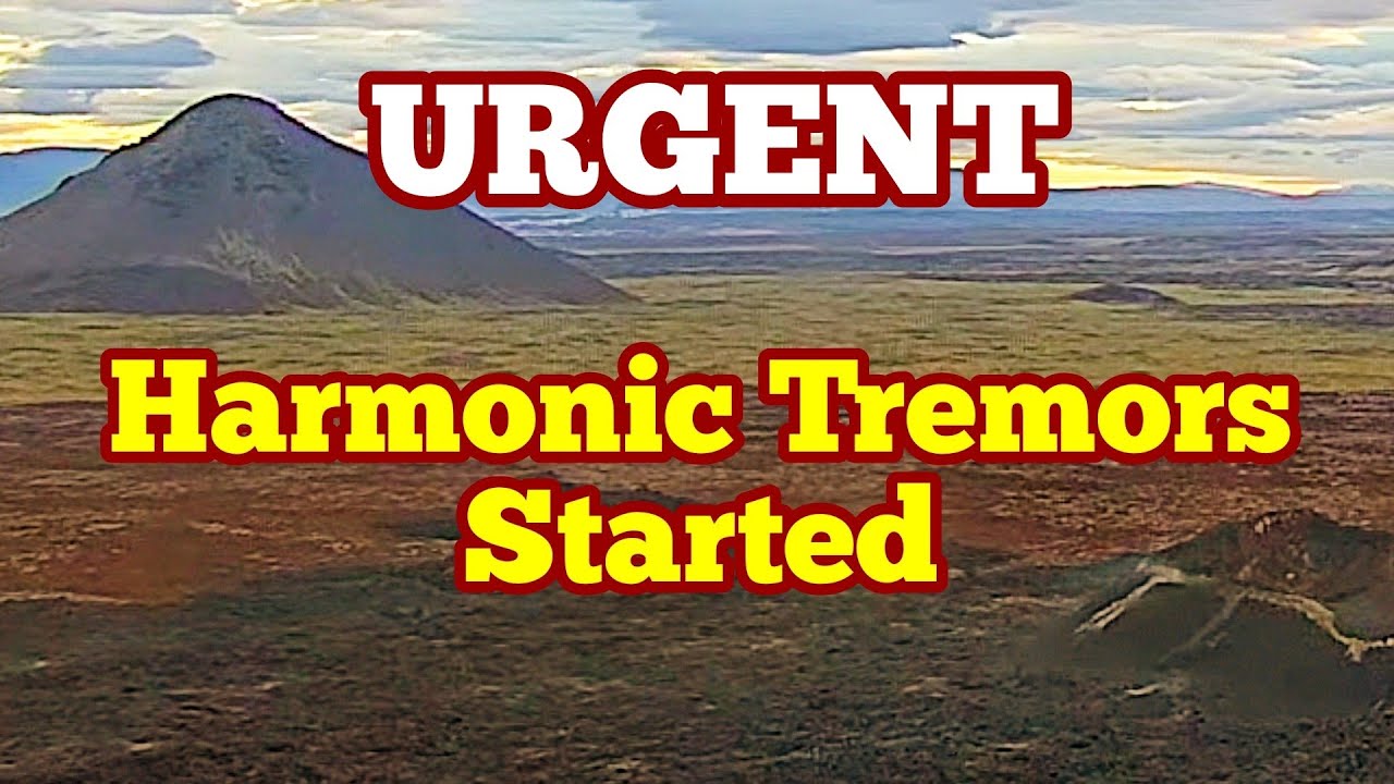 Harmonic Tremors Started: Iceland Fagradalsfjall Volcanic System, Litli ...