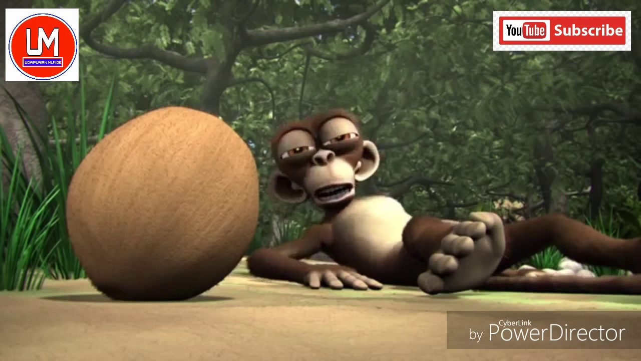 Funny video monkey and coconut - YouTube