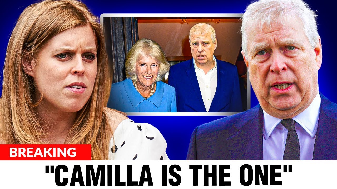 Princess Beatrice Cuts All Ties After Shocking DNA Reveals Her True ...