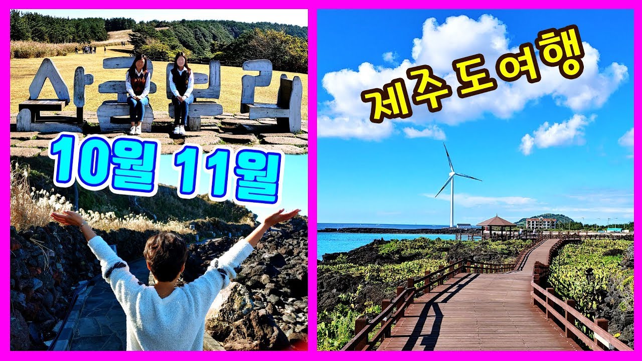 10월 11월 제주도 여행 코스 가을 제주도 가볼만한곳 2박 3일 여행 제주 Youtube