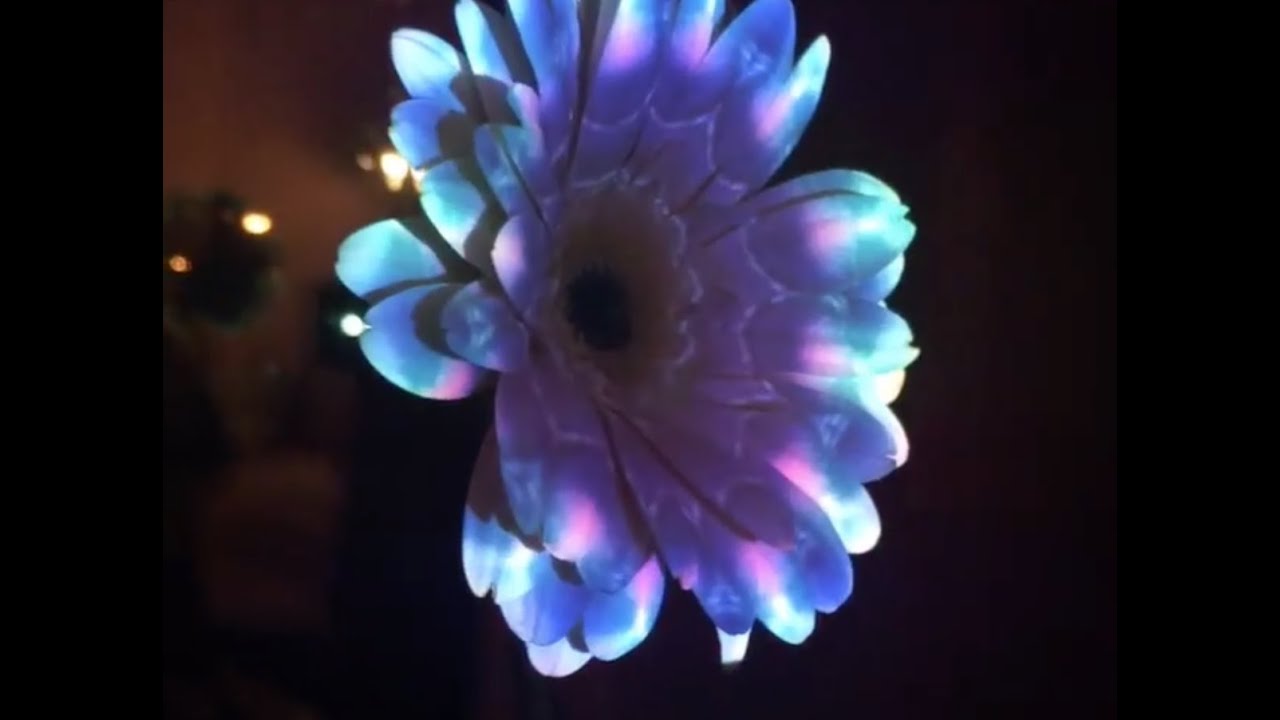 Flower projection mapping Experiment - YouTube