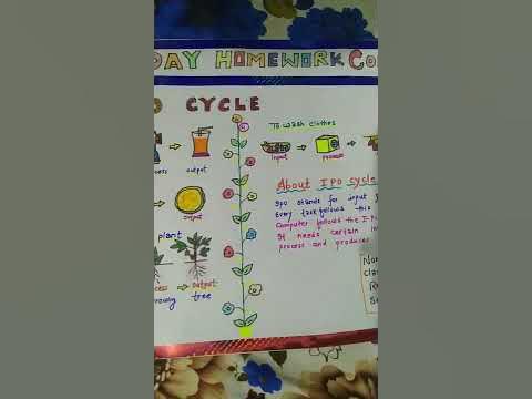 IPO cycle computer 🖥️💻 project - YouTube