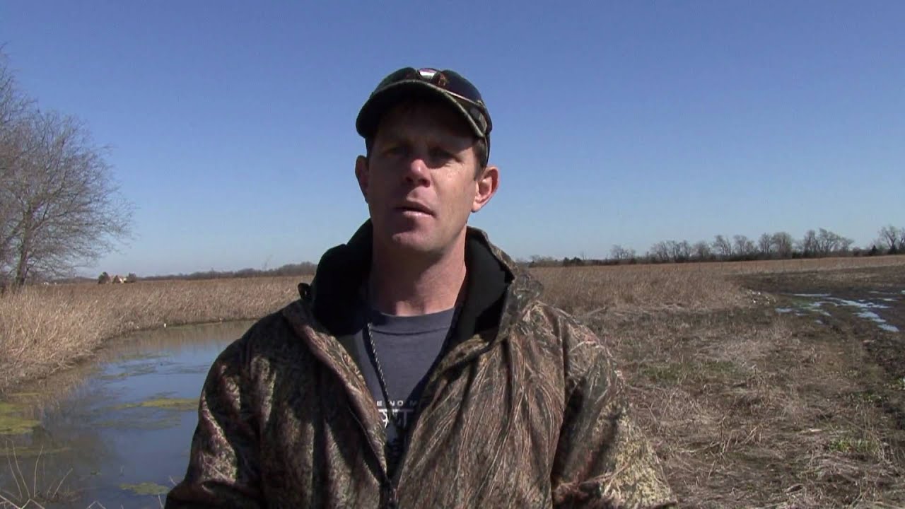BOAR'D HUNTs-Using a open reed Predator call - YouTube