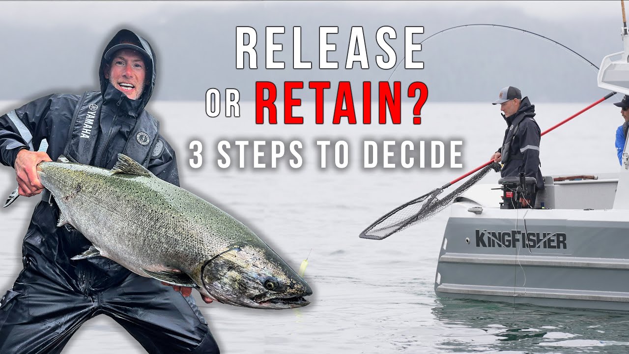 How to Decide To Release or Retain Sport Caught Fish - YouTube