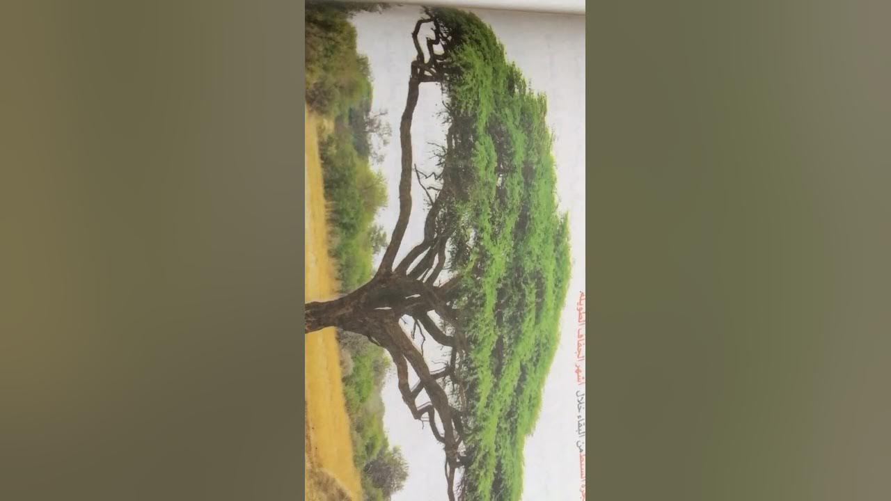علوم الصف الرابع طرق تكيف النبات Youtube