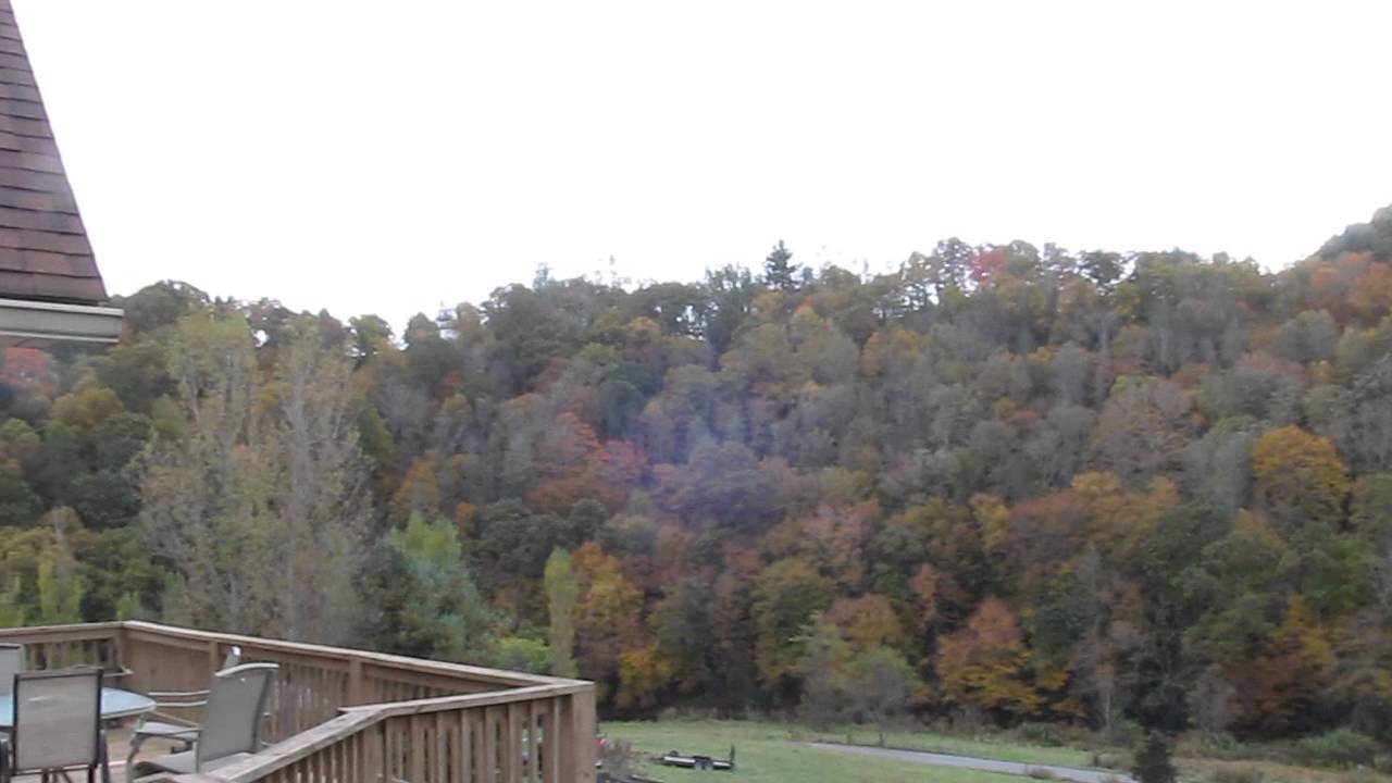 Fall leaves, Boone, NC - YouTube