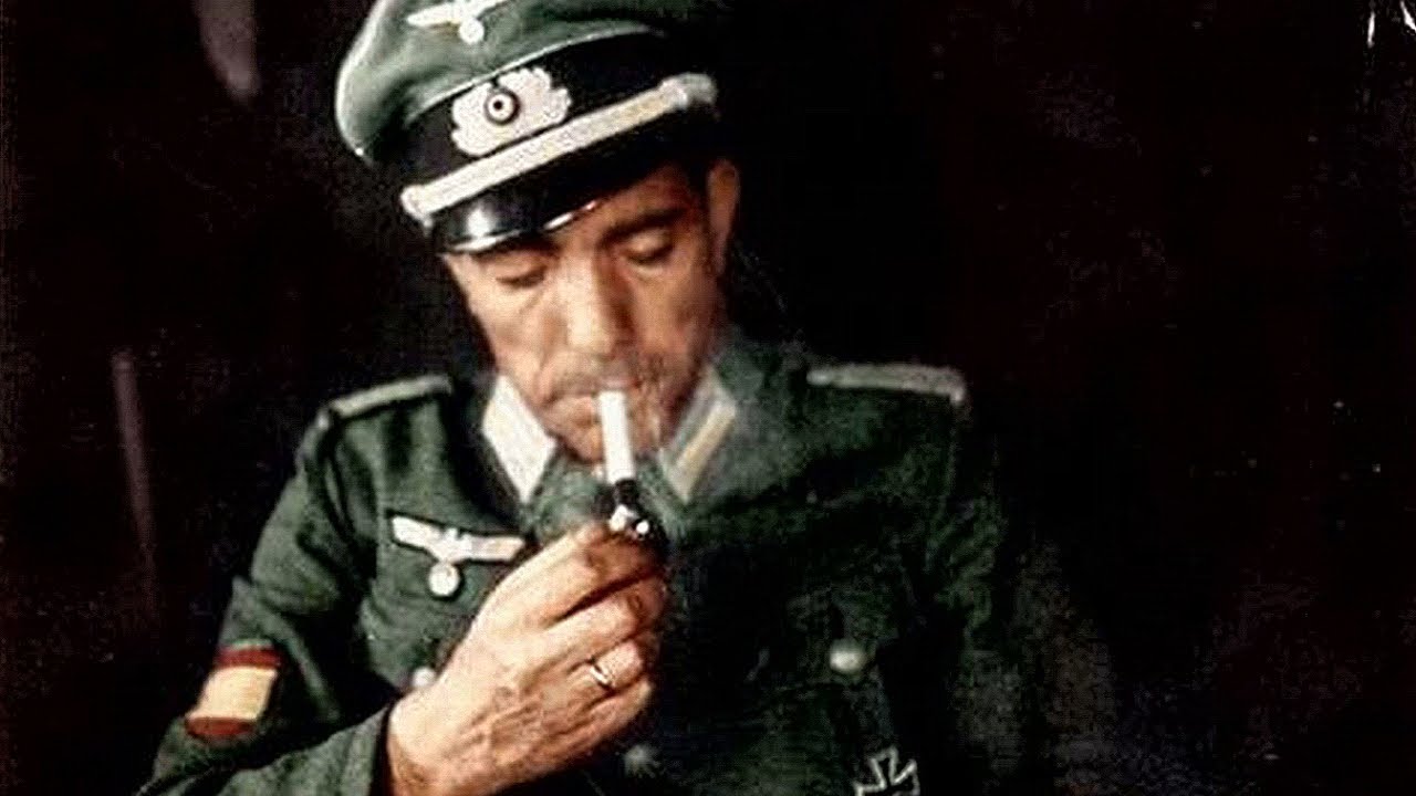 The "AZUL" division. Diary of a Spanish officer. The Eastern front ...