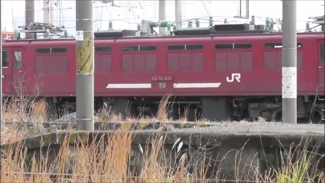 JR貨物 新型機関車！ EF510 305号機 ED76 102号機 ED76 1022号機 鹿児島貨物ターミナルセンター待機中 撮影日2025 1 24 - YouTube