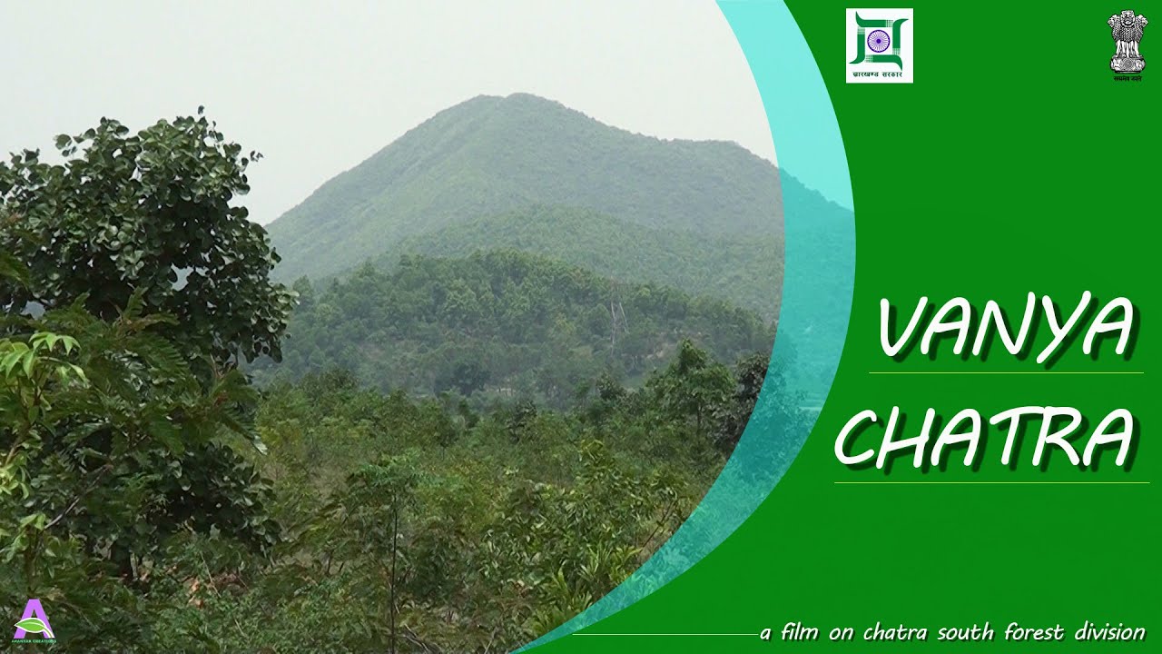 VANYA CHATRA-A FILM ON CHATRA SOUTH FOREST DIVISION - YouTube