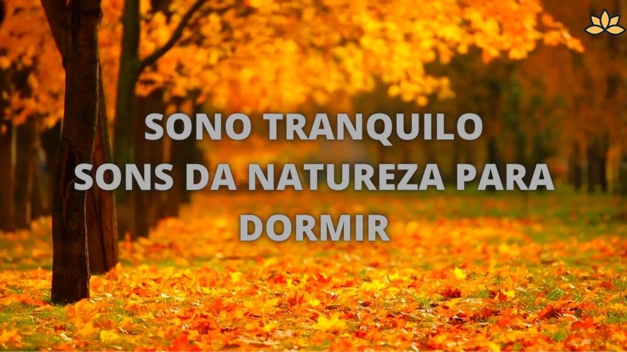 Sono Tranquilo - Sons da Natureza para Adormecer Profundamente ao Sons ...
