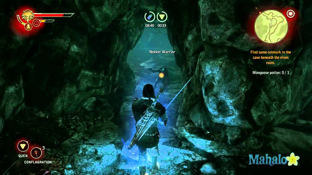 The Witcher 2: Assassins of Kings Enhanced Edition - The Kayran Ostmurk ...