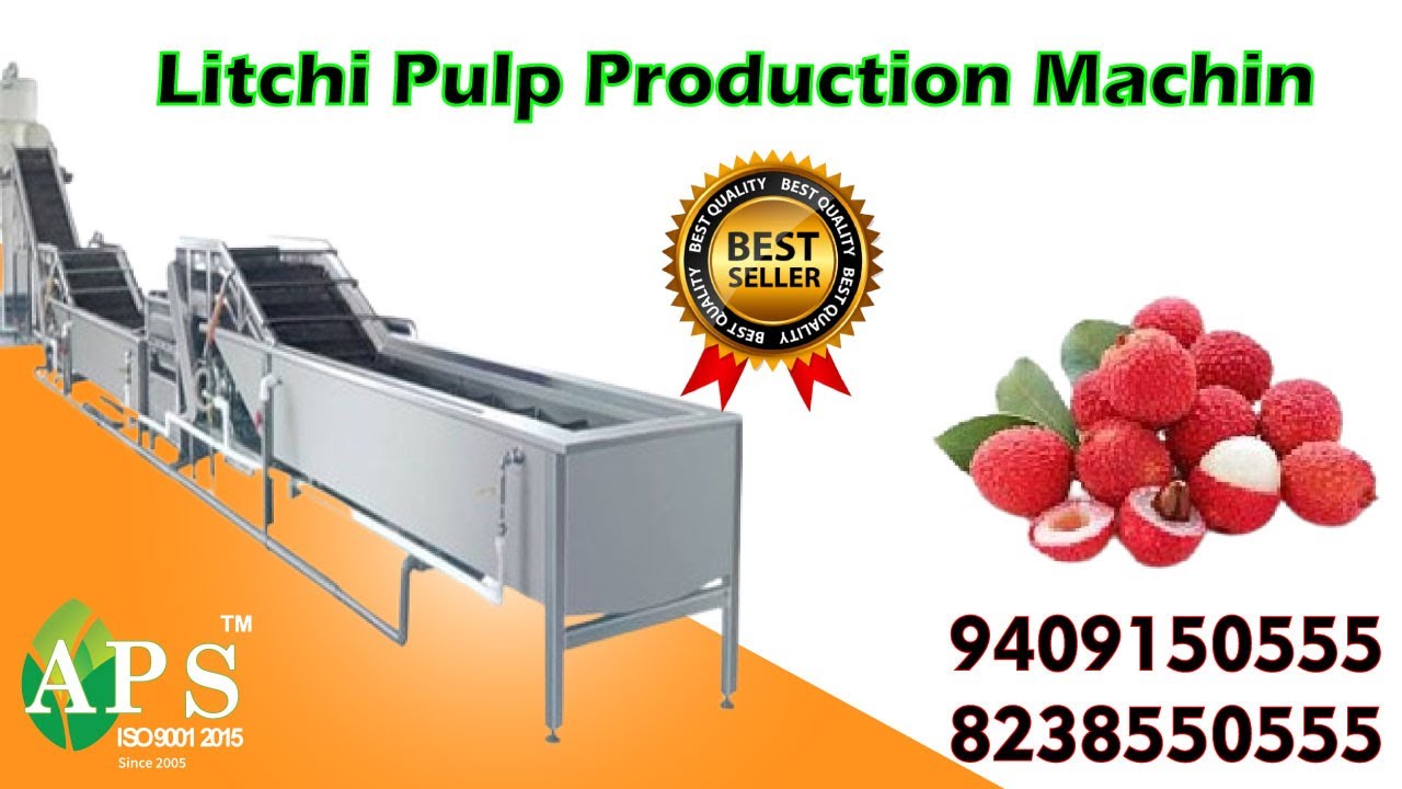 Litchi Pulp Production line// APS INDUSTRIES 7046650555 - YouTube