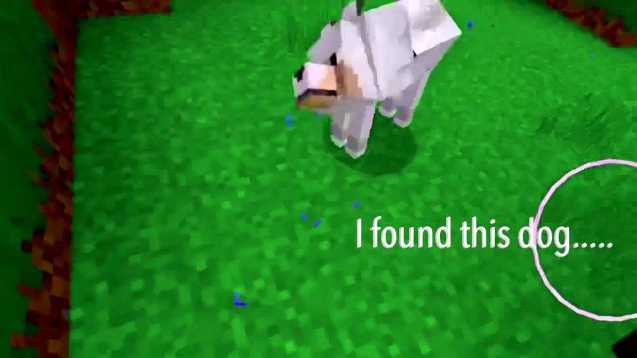 Weird Glitched Dog... - YouTube