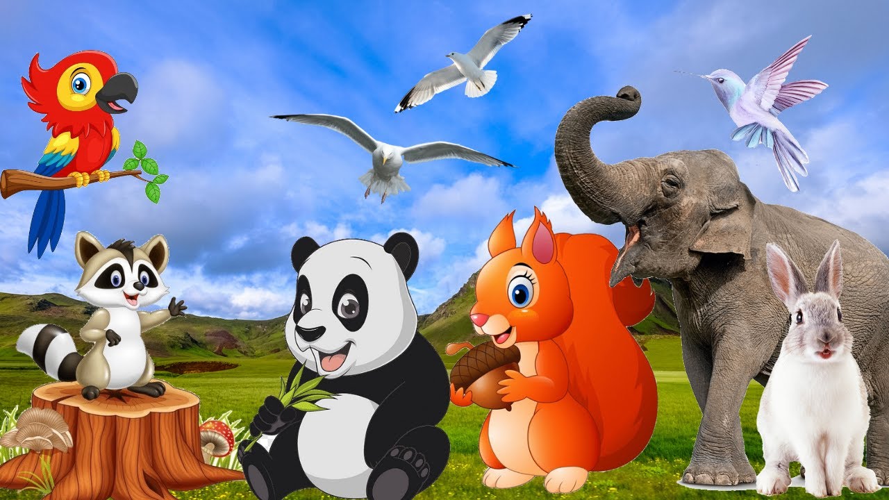 Amazing animals created by Heavenly God - Tiger, Moose, Whale, Elephant ...
