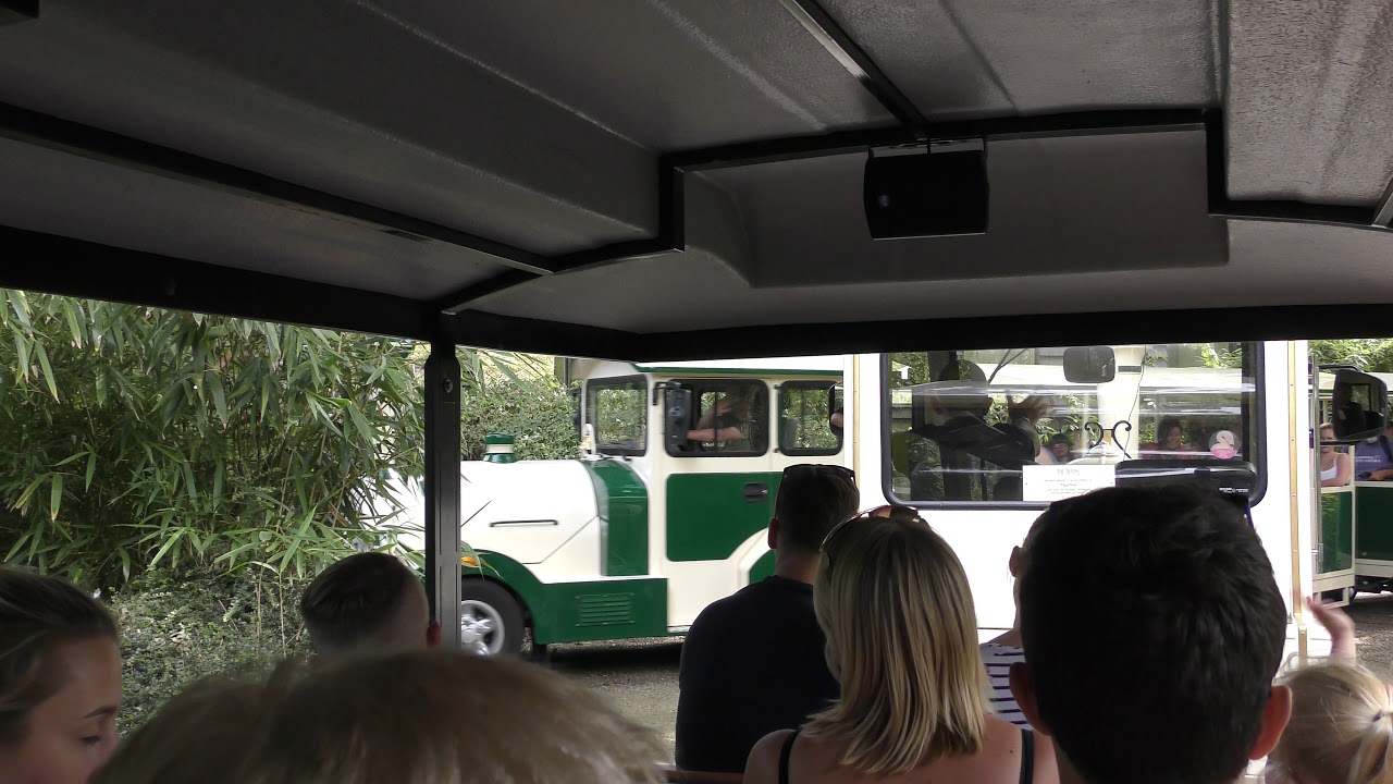 share Train ride at Colchester Zoo 31Aug19 243p - YouTube
