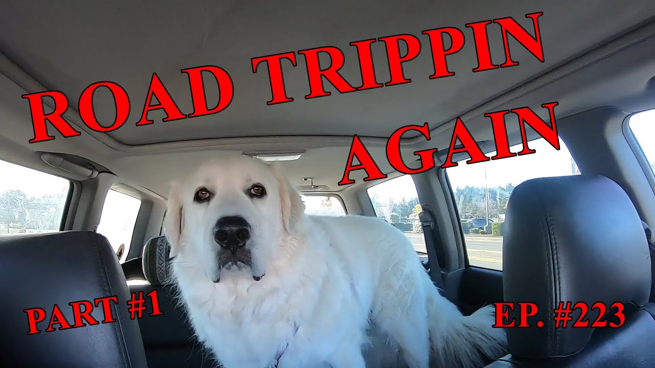 The Frank Files ROAD TRIPPIN AGAIN PT.1 #franksmiles - YouTube