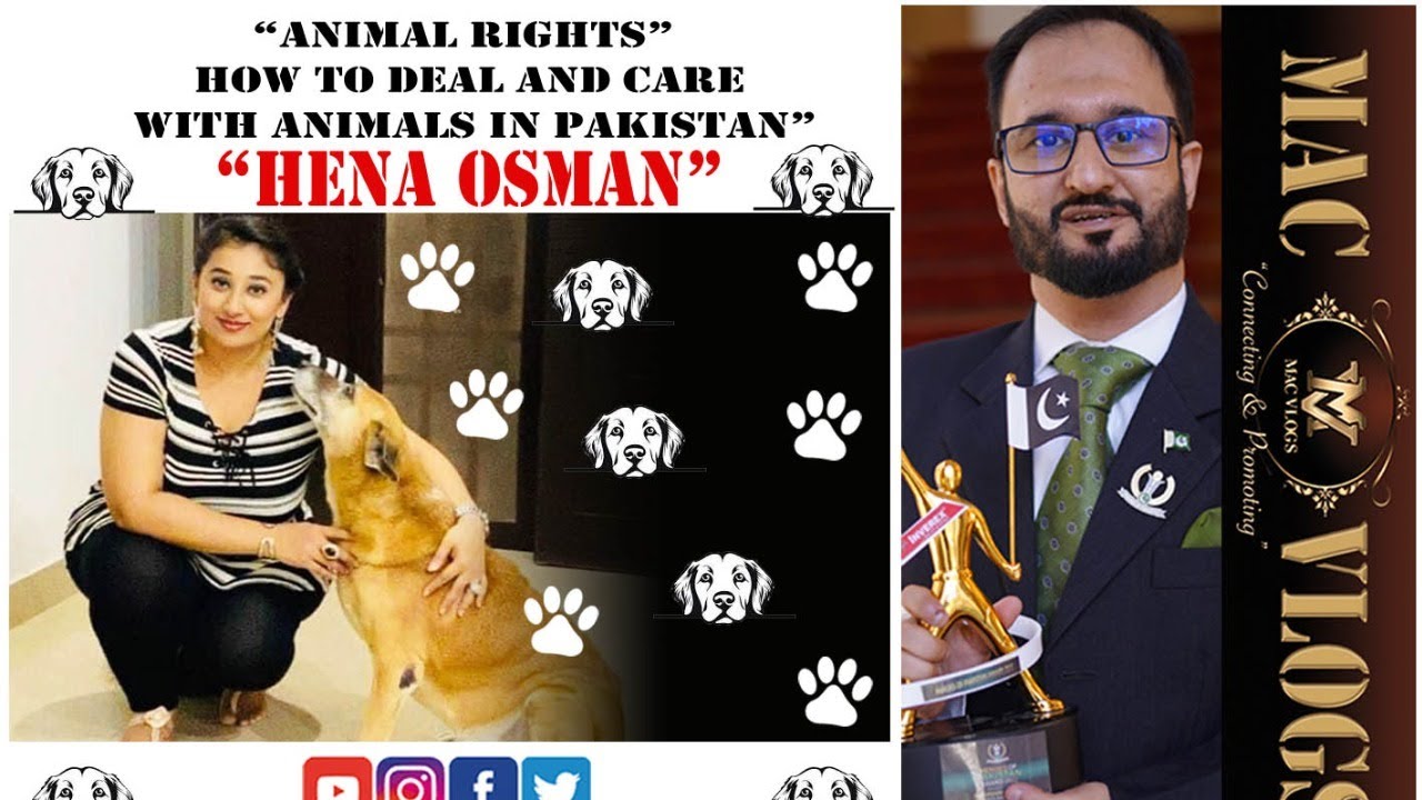 Hena Osman : #AnimalActivistBlogger #AnimalRights #AnimalWhispere - YouTube