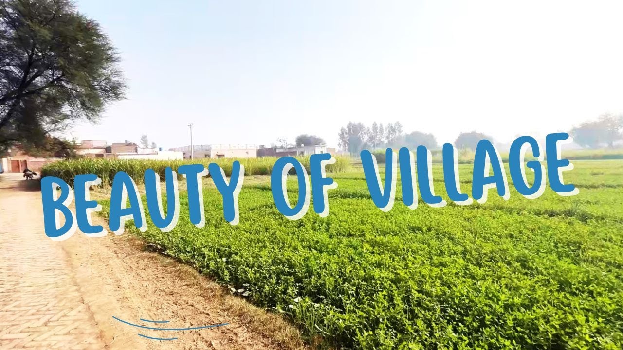 A Day in Village Life | Village Visit Vlog | Explore village beauty ...