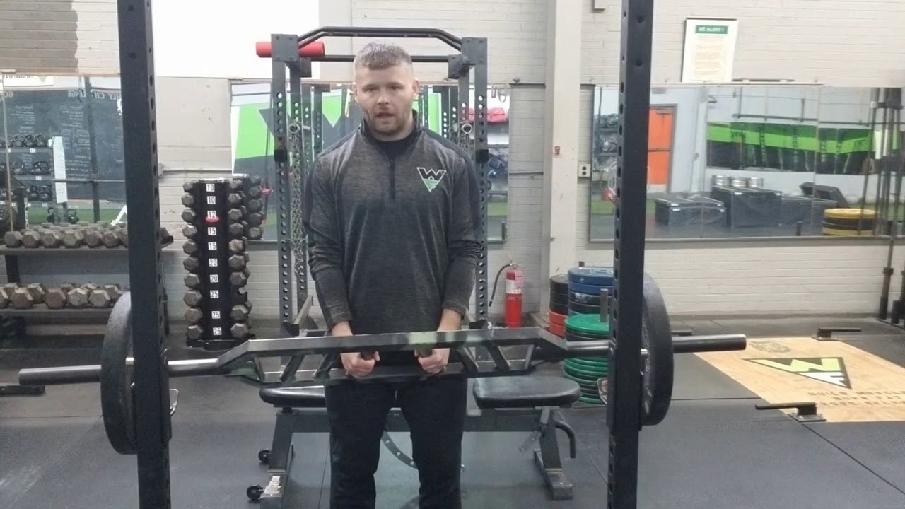 Neutral Grip Barbell Curl - YouTube