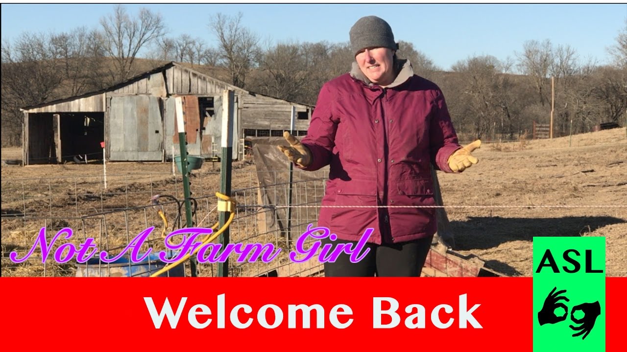 Welcome Back ASL - YouTube