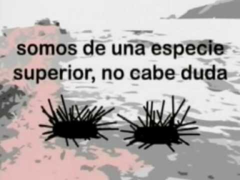 Al erizo Dios le hizo - YouTube