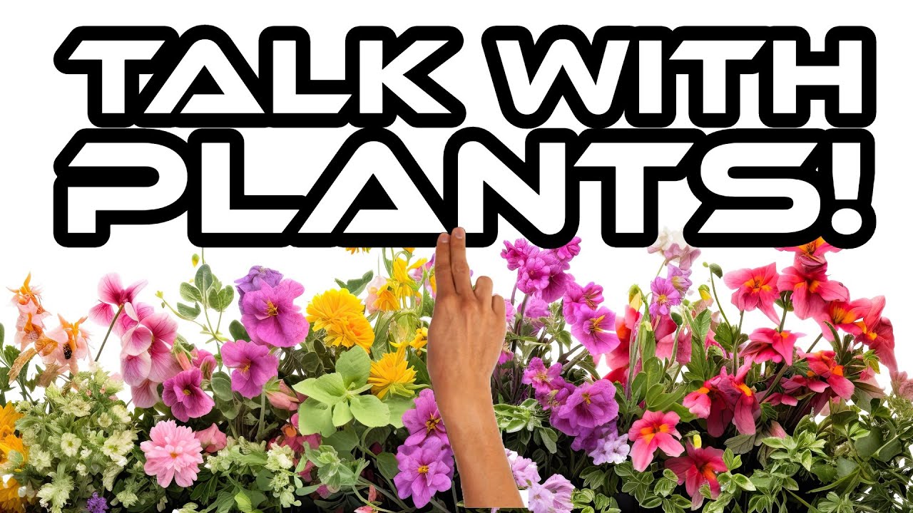 The Sound of Science: How Plants Use Sound - YouTube