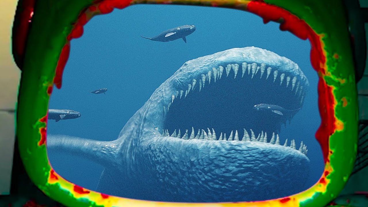 The Bloop vs Blue Whale 2022 - YouTube
