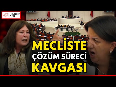 MECLİSTE ÇÖZÜM SÜRECİ KAVGASI! Pervin Buldan, Sırrı Sakık, Şenol Sunat, Selçuk Türkoğlu!
